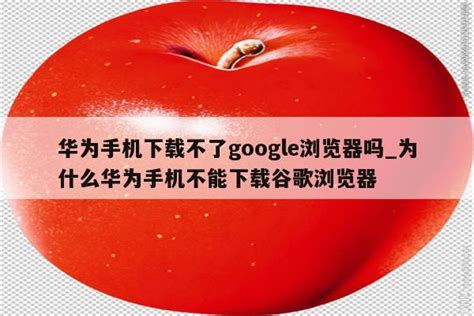华为手机下载不了google浏览器吗 为什么华为手机不能下载谷歌浏览器 google相关 APPid共享网