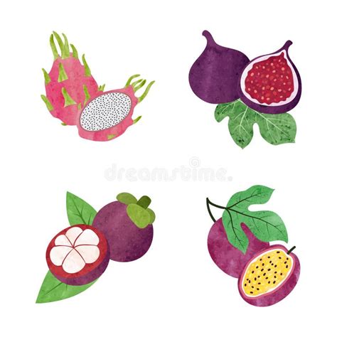 Passion Fruit Vector Illustration Abstract Watercolor Juicy Fruit