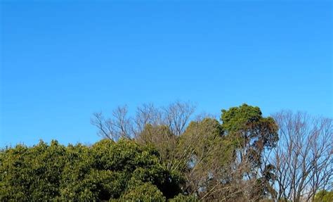 3月最初の日曜日 あいlove空