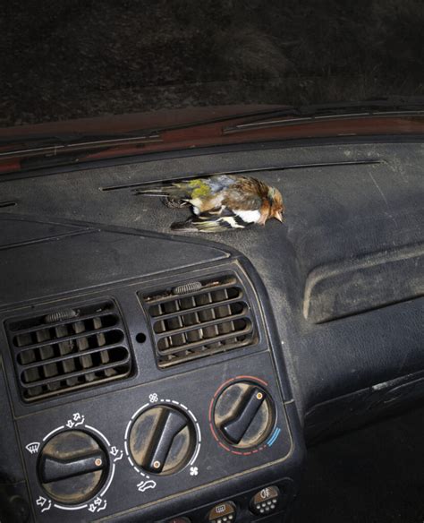 Dior Announces Winner Of The Art Of Color And Photography And Visual Arts Award For Young