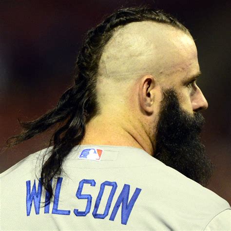 Barba Di Brian Wilson