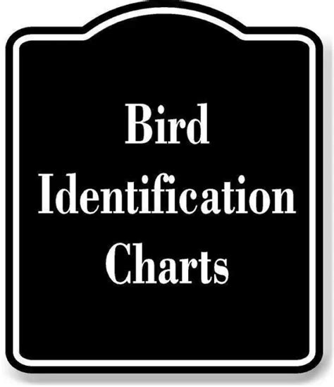 Bird Identification Charts Black Aluminum Composite Sign £1254