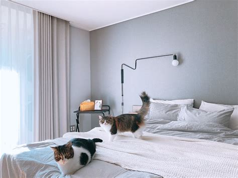 세상에 수납 맛집 끝판왕입니다 드레스룸이 무려 2개나 있는 집