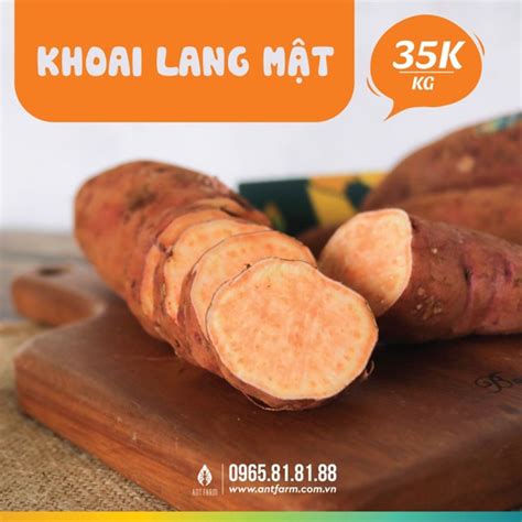 CÁCH LUỘC KHOAI LANG MẬT NGON THƠM NGỌT LỊM KHÔNG THỂ BỎ QUA Ant Farm