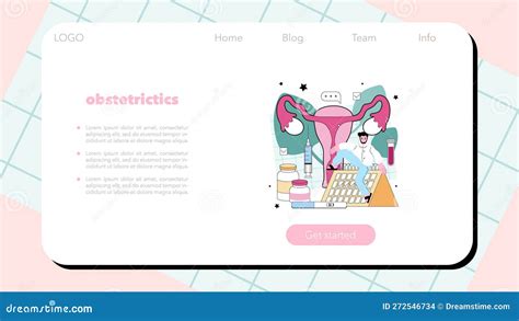 Human Reproductive System Inforgaphic Chart Vector Flat Healthcare