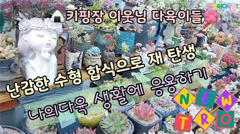키핑장 이웃님들 다육이💫다육생활 응용하기💢난감한수형 새단장 정리🌸 Youtube