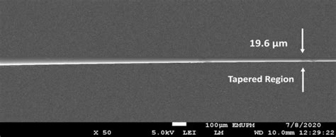 Scanning Electron Microscopy Sem Micrograph Of A Tapered Multimode Download Scientific