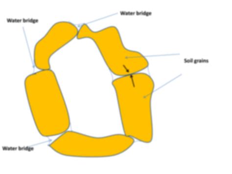 SOLUTION 7 Lab Collapsible And Sensitive Soils Studypool