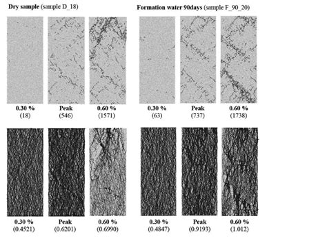 Pfc Modelled Fracture Evolution Top And Contact Force Distribution Download Scientific