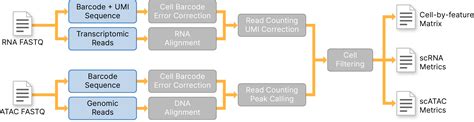 Multiomics Pipeline