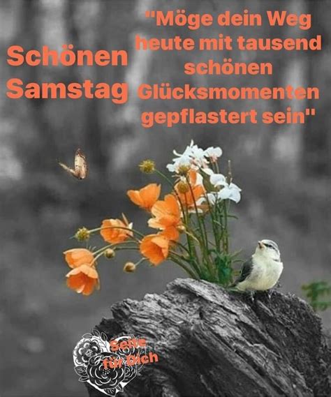 Pin von Heinrich Thoben auf Samstag Samstagsgrüße Samstag Guten