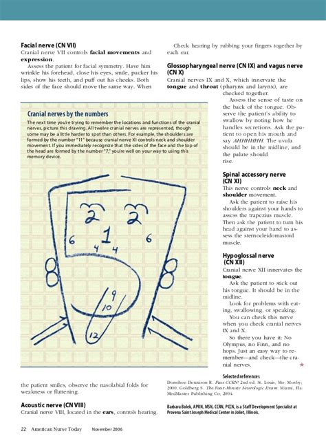 Cranial Nerve Drawing At Getdrawings Free Download