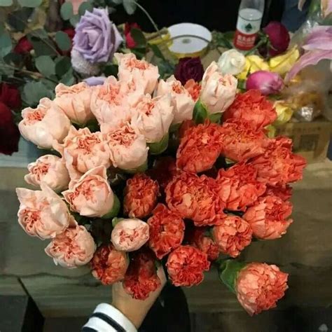 【python表白代码】 214“valentine‘s Day”“没别的意思 就是借着特殊日子说声喜欢你”你在哪儿？我去见你~（各种玫瑰