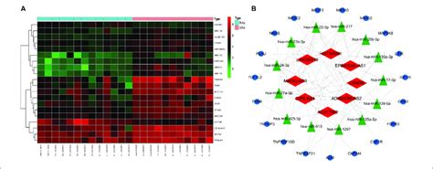 Cerna Network Construction A Differential Expression Heatmap Of Download Scientific