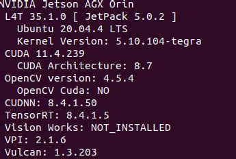 Training Detectnet V On Jetson Agx Orin Issue Dusty Nv