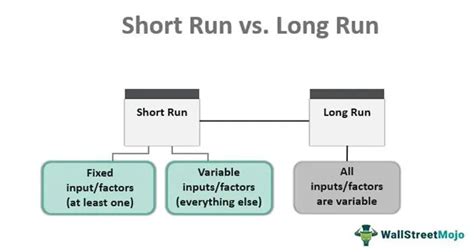 Short Run - Definition, Economics Examples, How it Works?