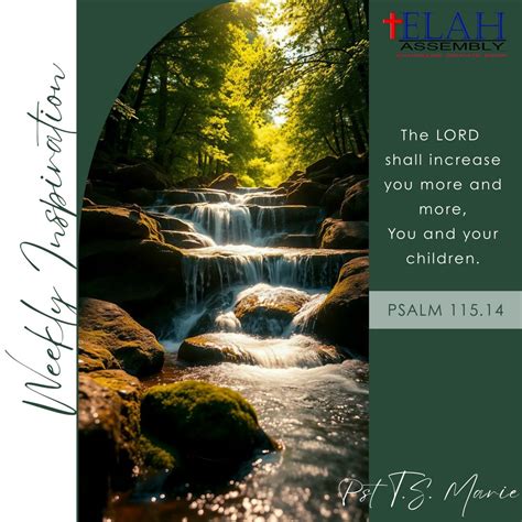 Elah Assembly Howick