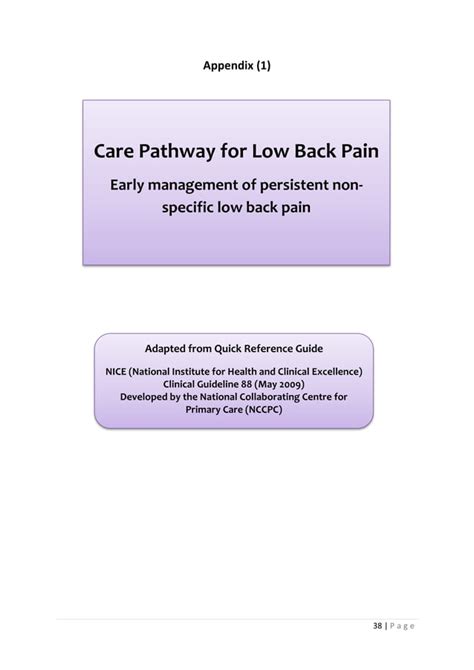 Low Back Pain Clinical Practice Guideline