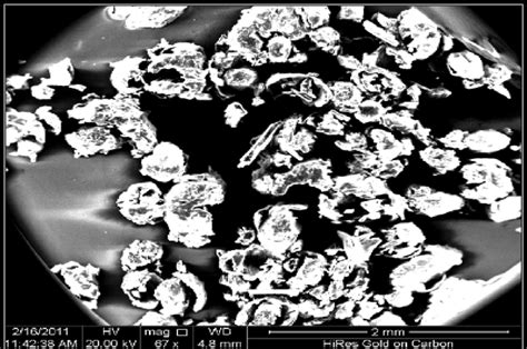 Sem Photomicrograph Of Ethyl Cellulose Gabapentin Loaded Floating Download Scientific Diagram