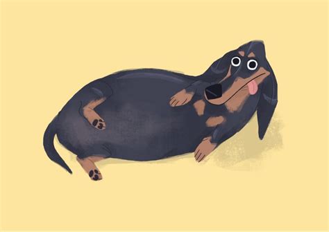 Funny Dachshund Sketch