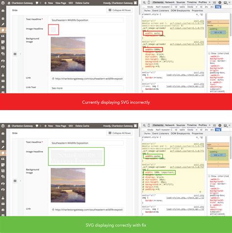 Svg Support Acf Support