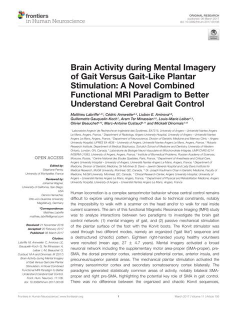 PDF Brain Activity During Mental Imagery Of Gait Versus Gait Like Plantar Stimulation A Novel