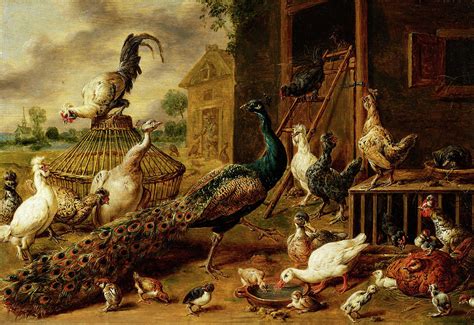 Peacocks Poultry Farm Lasopadeep