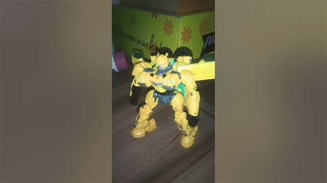 Bumblebe Vs Bumblebe Youtube