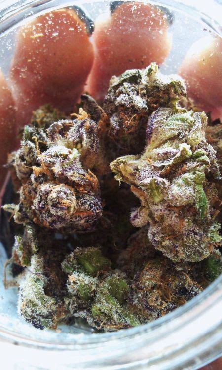 Post [155088621024] Spooky Scary Tumbex