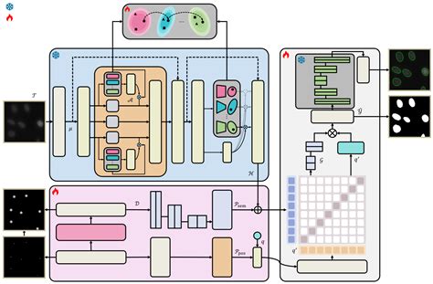 논문 리뷰 Nusegdg Integration Of Heterogeneous Space And Gaussian Kernel For Domain Generalized