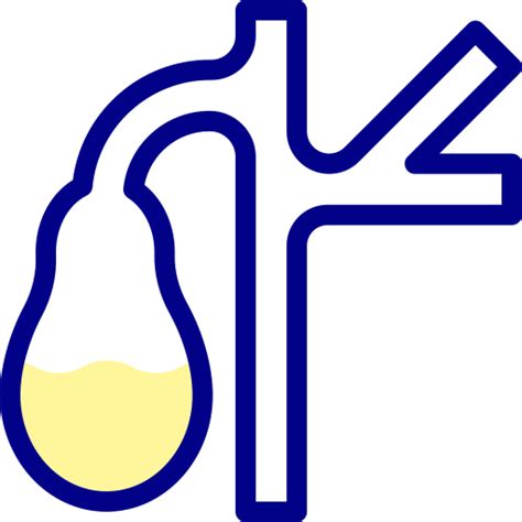 Gallbladder Detailed Mixed Lineal Color Icon
