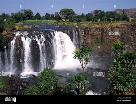 Lake Tana Blue Nile Pdf Anglo Ethiopian Treaty On The Nile And The