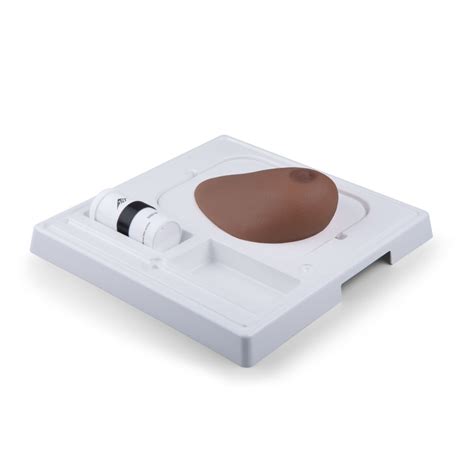 Sonotrain Breast Model With Cysts Dark Skin 1024722 P124d