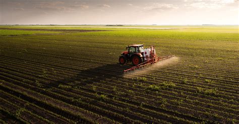 BB Agro Portal BB