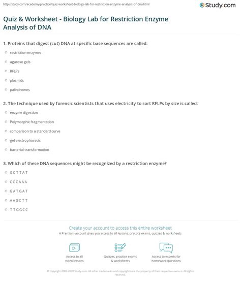 Quiz Worksheet Biology Lab For Restriction Enzyme Analysis Of DNA Study Com
