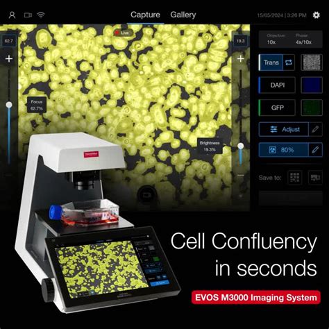 Sofia Capua Montoto On Linkedin Evos M3000 Real Time Confluency Tool