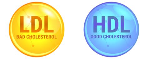 LDL Vs HDL Cholesterol Is All Cholesterol Bad Truebasics Blog
