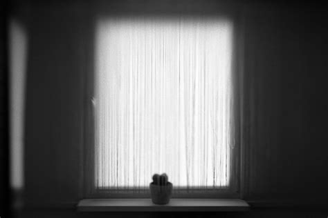 Premium Photo Shadow Of Window On Wall At Home