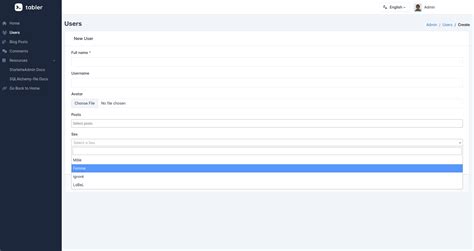 Bug EnumField Options Displayed Incorrectly In List Detail Templates