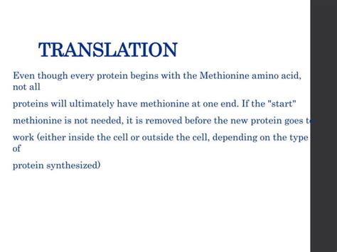 Protein Synthesisppt Programming Languages Computing