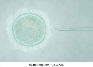 Sperm Injection Images Stock Photos Vectors Shutterstock