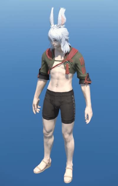 Shisui Joi Of Aiming Gamer Escapes Final Fantasy Xiv Ffxiv Ff14 Wiki