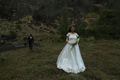 Australia Grassland Photos Download The Best Free Australia Grassland