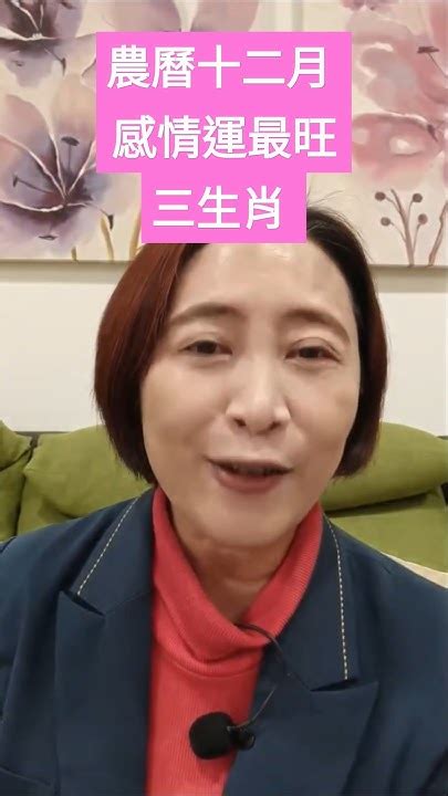 農曆十二月 感情運最旺的三生肖 生肖虎 生肖猴 生肖馬 農曆十二月生肖運勢 甲辰年丁丑月生肖運勢 丁丑月流月運勢 十二生肖