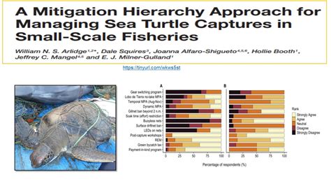 Pro Delphinus Compartimos Novedosa Aplicación De La Facebook