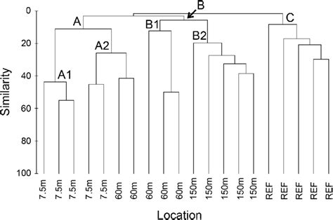 Cluster Analysis Bray Curtis Similarity Based On Square Root Download Scientific Diagram
