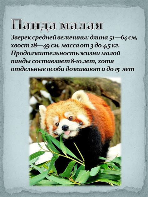Красная Книга Фото И Описание Telegraph