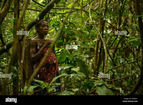 Bayaka Pygmies In The Equatorial Rainforest Central African Republic