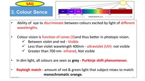 Lecture 7 2022 Special Senses Vision 7 Physiology Of Vision Visual Perception Pdf