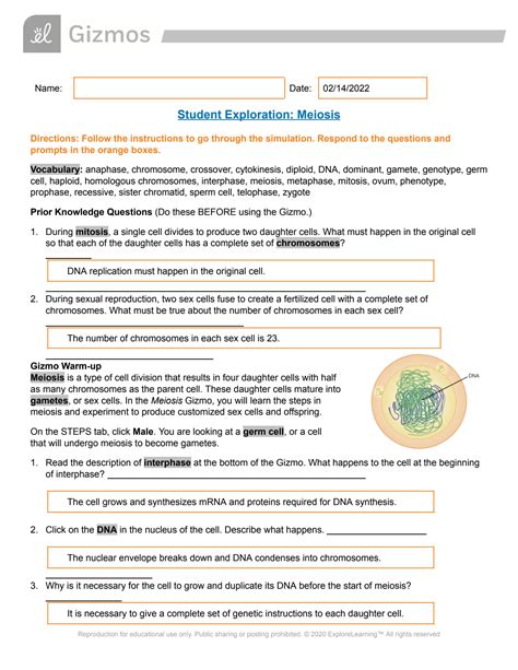 Solution Student Exploration Meiosis Studypool